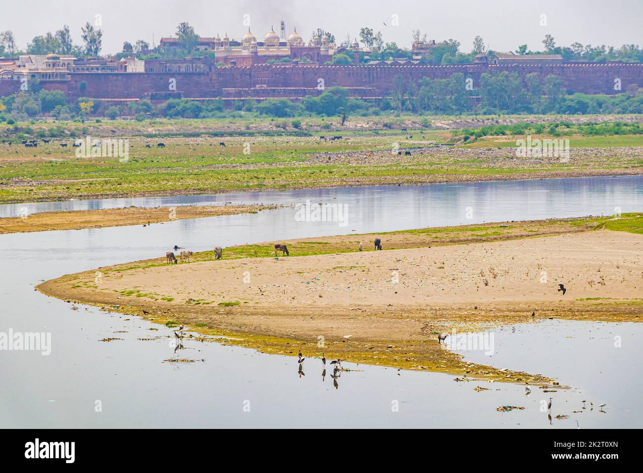Yamuna ghat river at Taj Mahal panorama in Agra India Stock Photo - Alamy