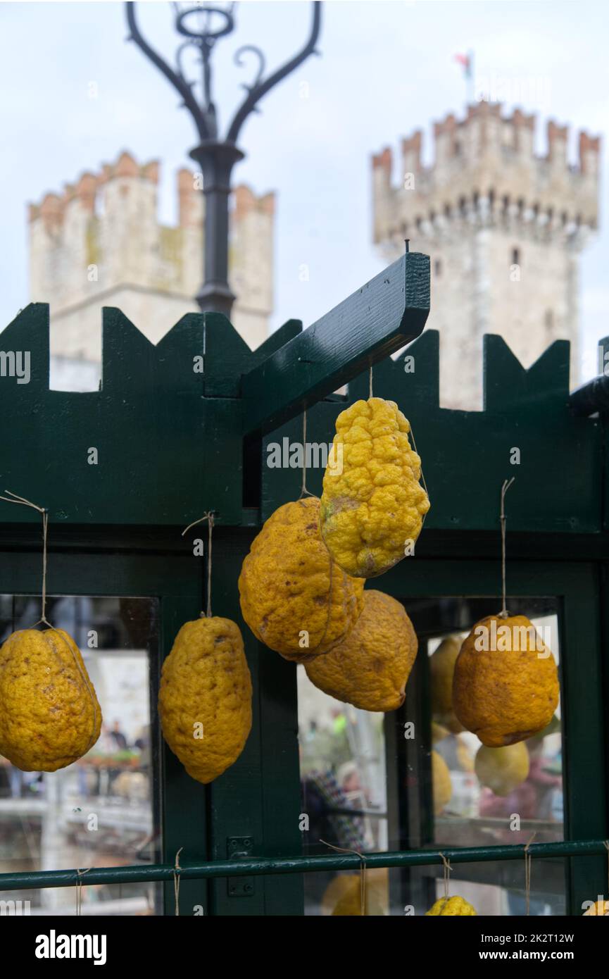 Yellow cedri in front of the castle of sirmione on lake garda in italy ...