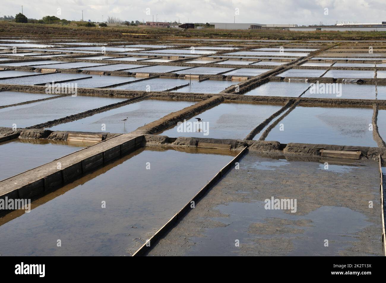 Aveiro salt marshes in Portugal Stock Photo - Alamy