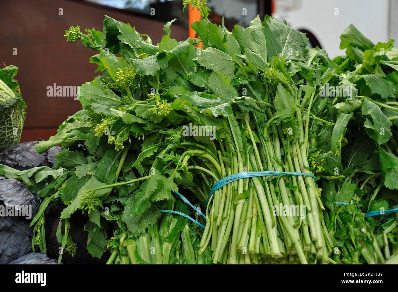 Portuguese agricultural hi-res stock photography and images - Alamy