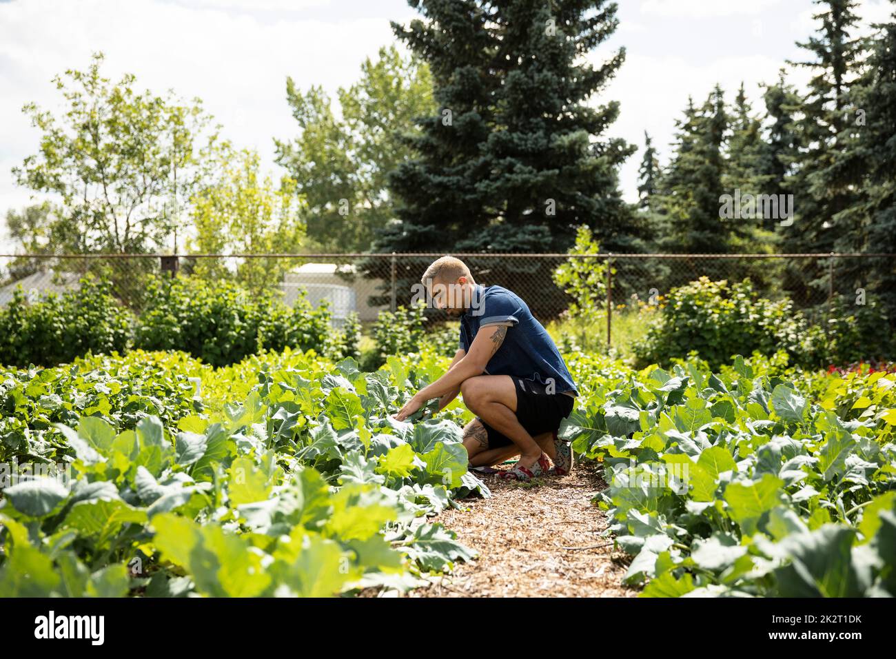 Community man hi-res stock photography and images - Alamy