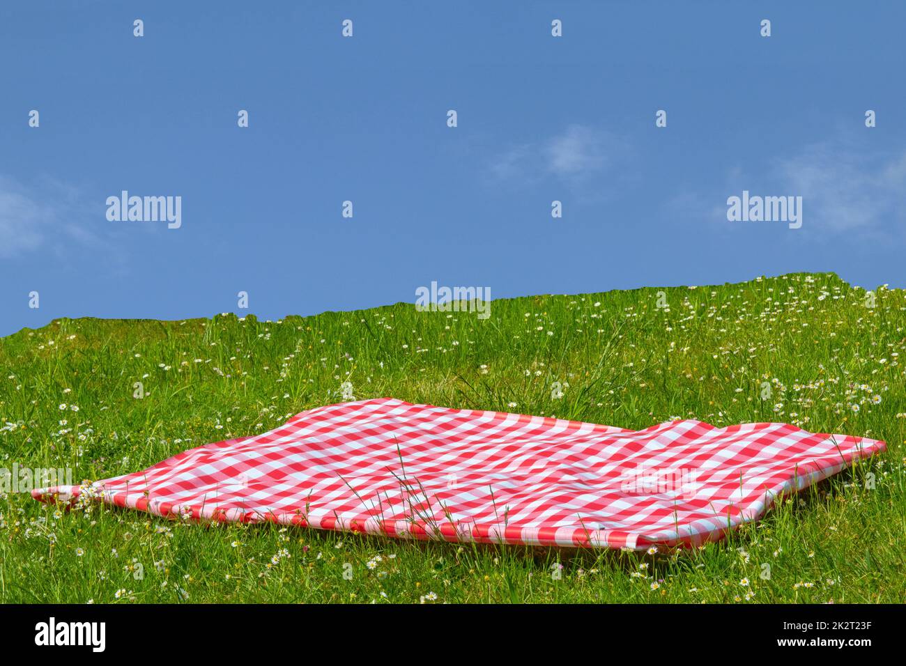 Red picnic cloth. Red checked picnic blanket on a meadow with daisies ...