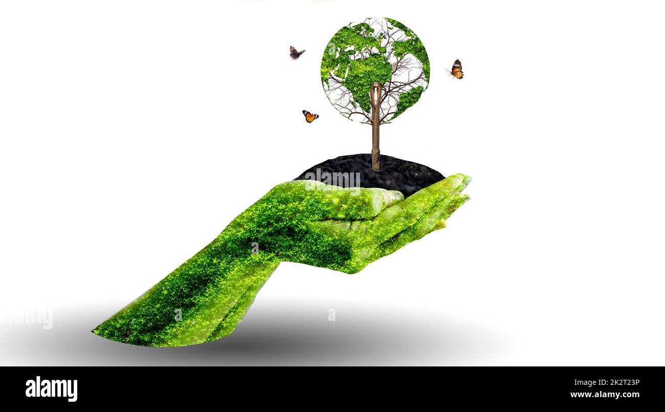 A tree with leaves of the world map, concept, environment, save the ...