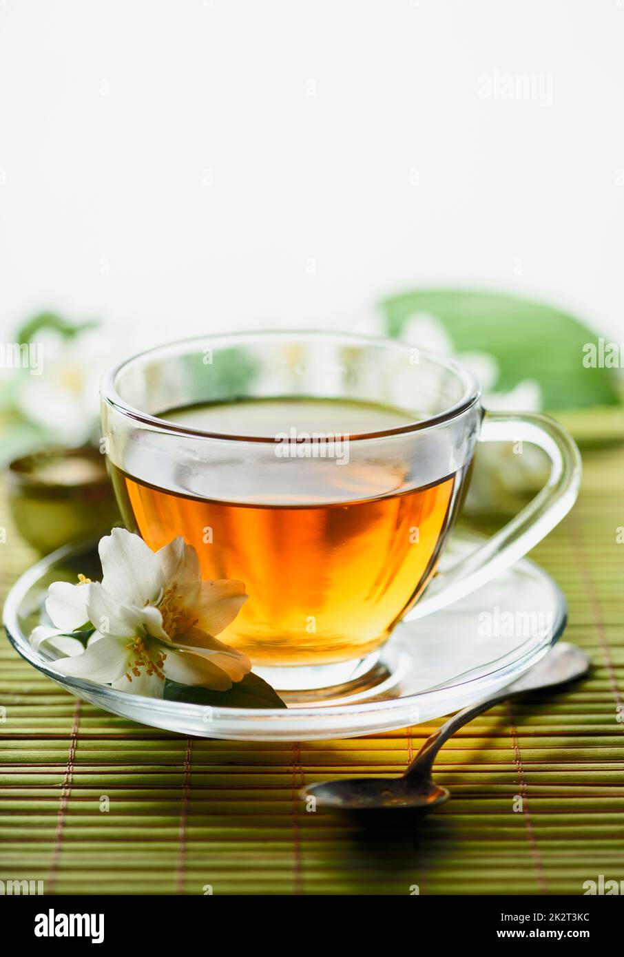 Chinese jasmine plant pot hi-res stock photography and images - Alamy