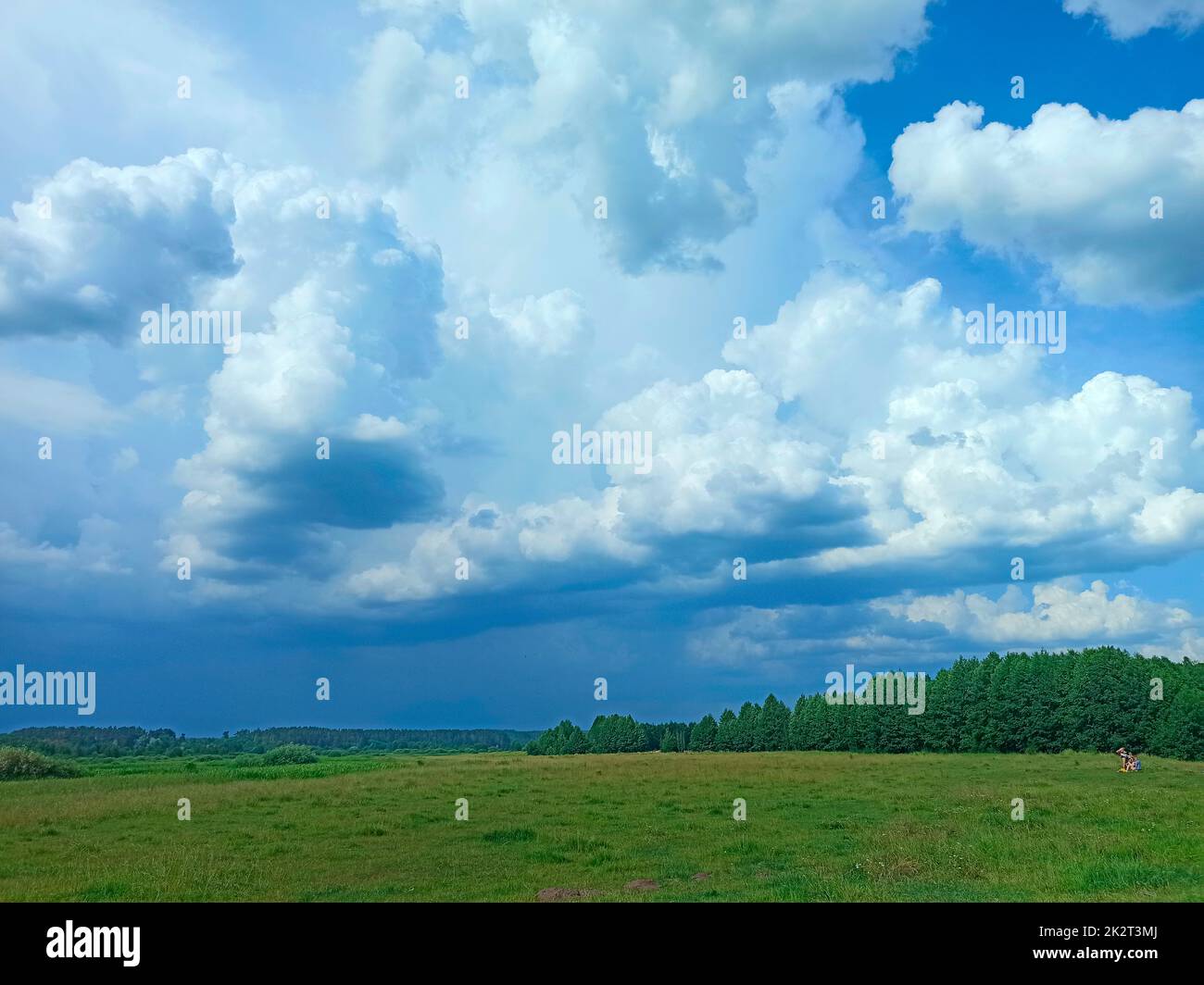 Landscape with thundercloud over field and forest. Streams of rain in ...