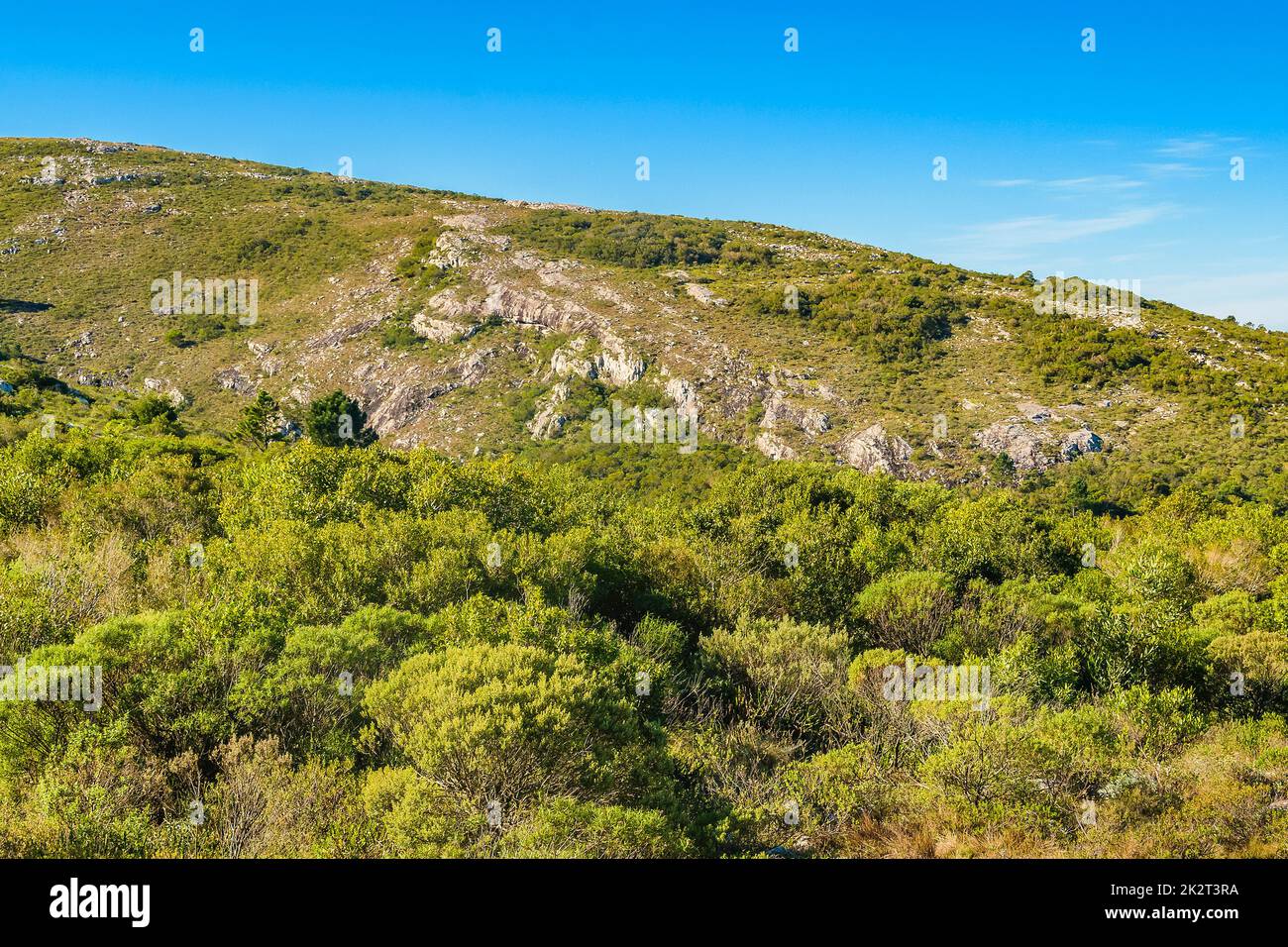 Animas mountain hi-res stock photography and images - Alamy