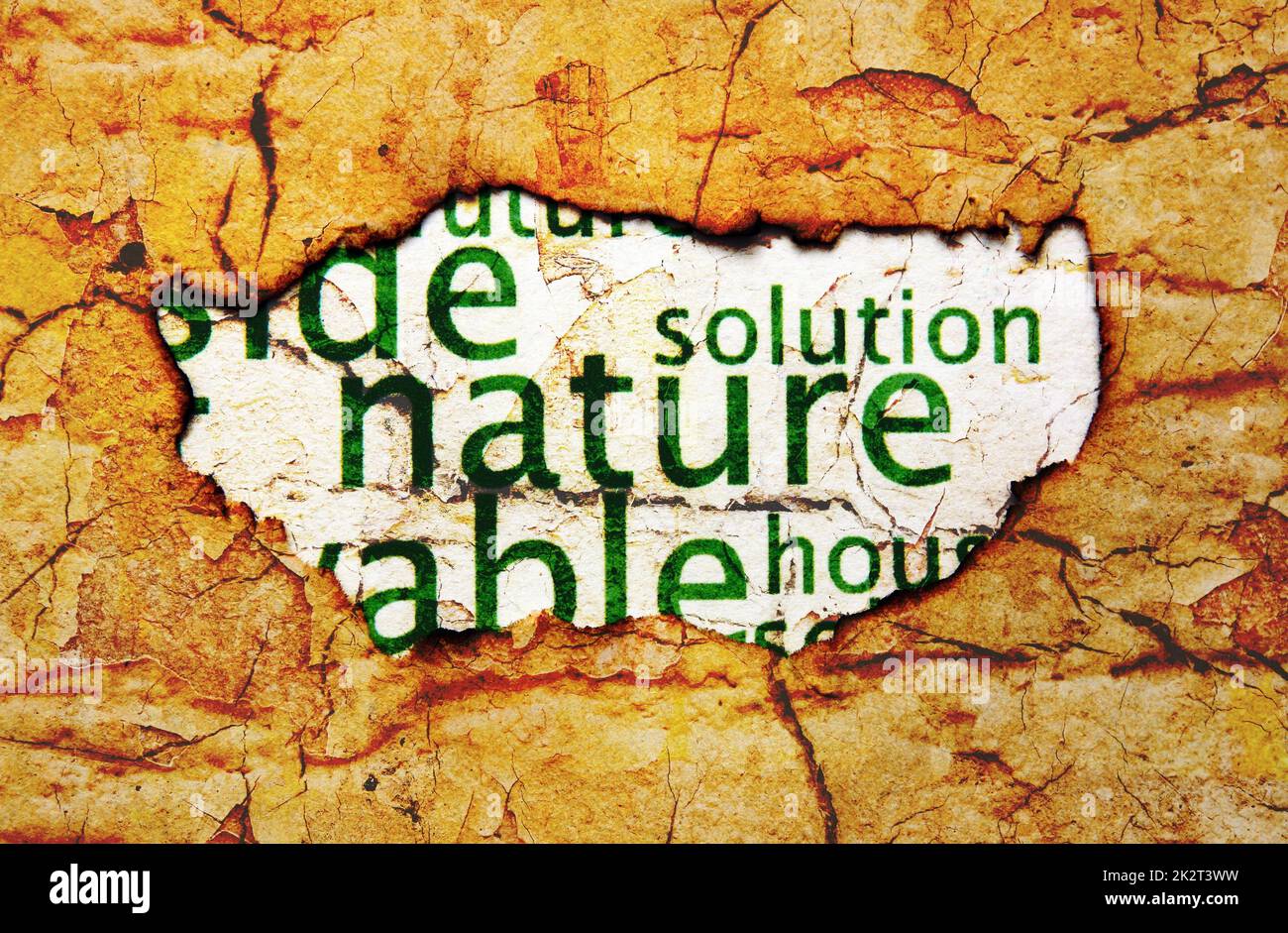 Nature paper hole Stock Photo - Alamy