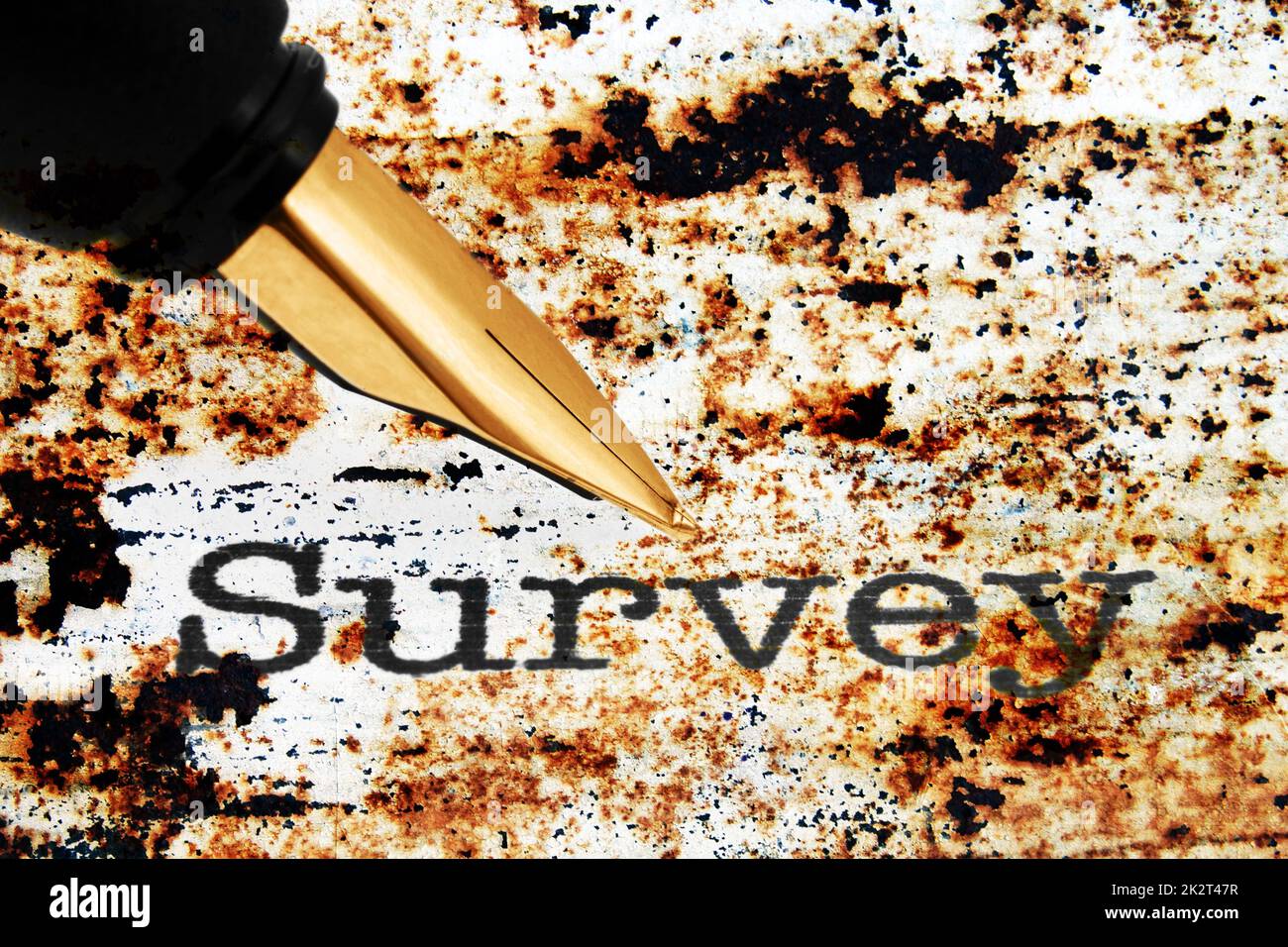 Fountain pen on survey Stock Photo - Alamy