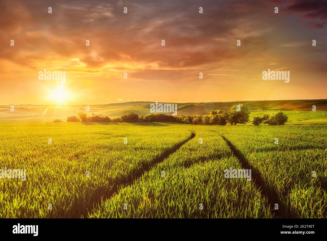 Beautiful shot field sunset hi-res stock photography and images - Alamy