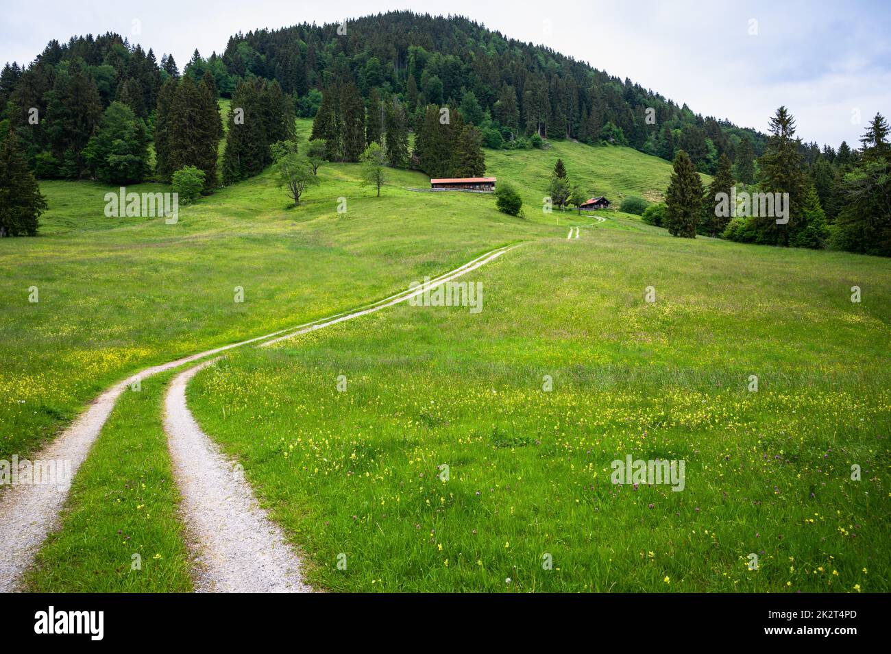 The Bavarian Alpine Foothills Stock Photo - Alamy