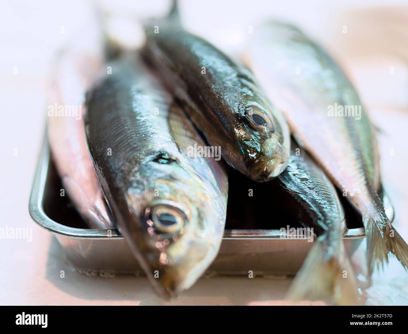 Tray of fresh fish hi-res stock photography and images - Alamy