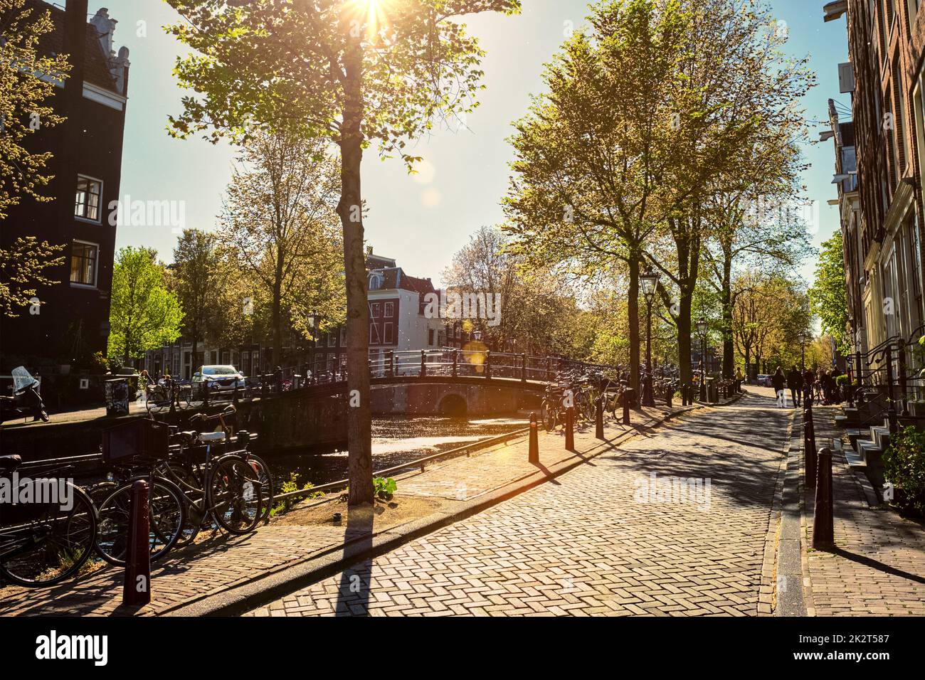 Amsterdam street with canal Stock Photo - Alamy