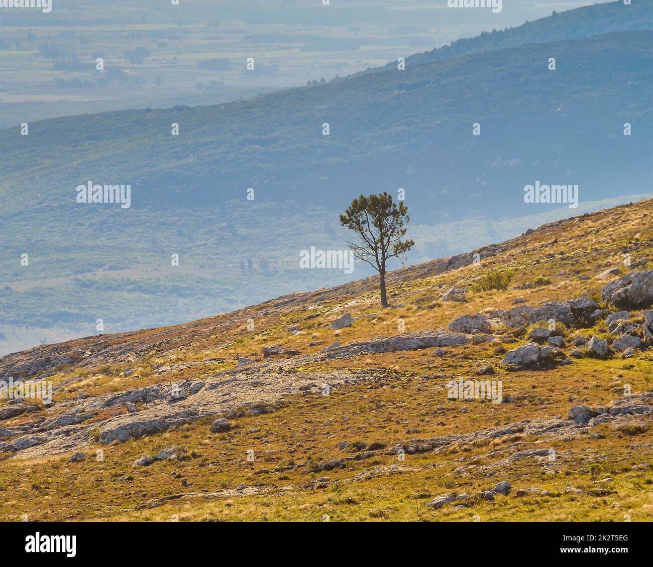 Animas mountain hi-res stock photography and images - Alamy