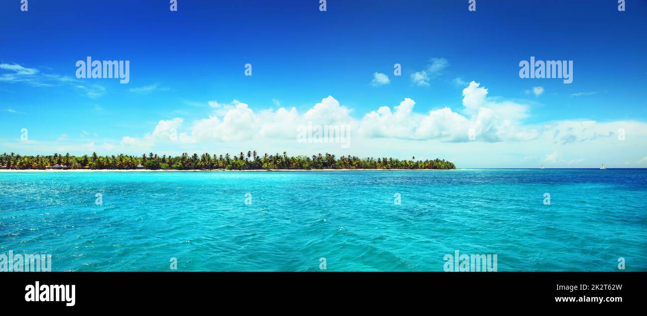 Tropical island with palms and beach panorama as background Stock Photo ...