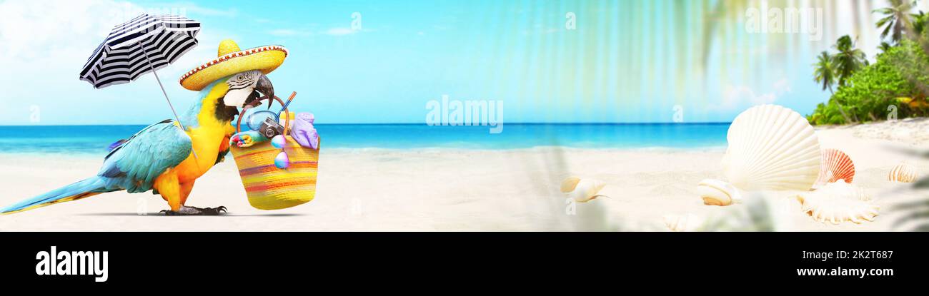 Parrot in the sun on tropical beach - summer holiday Stock Photo - Alamy