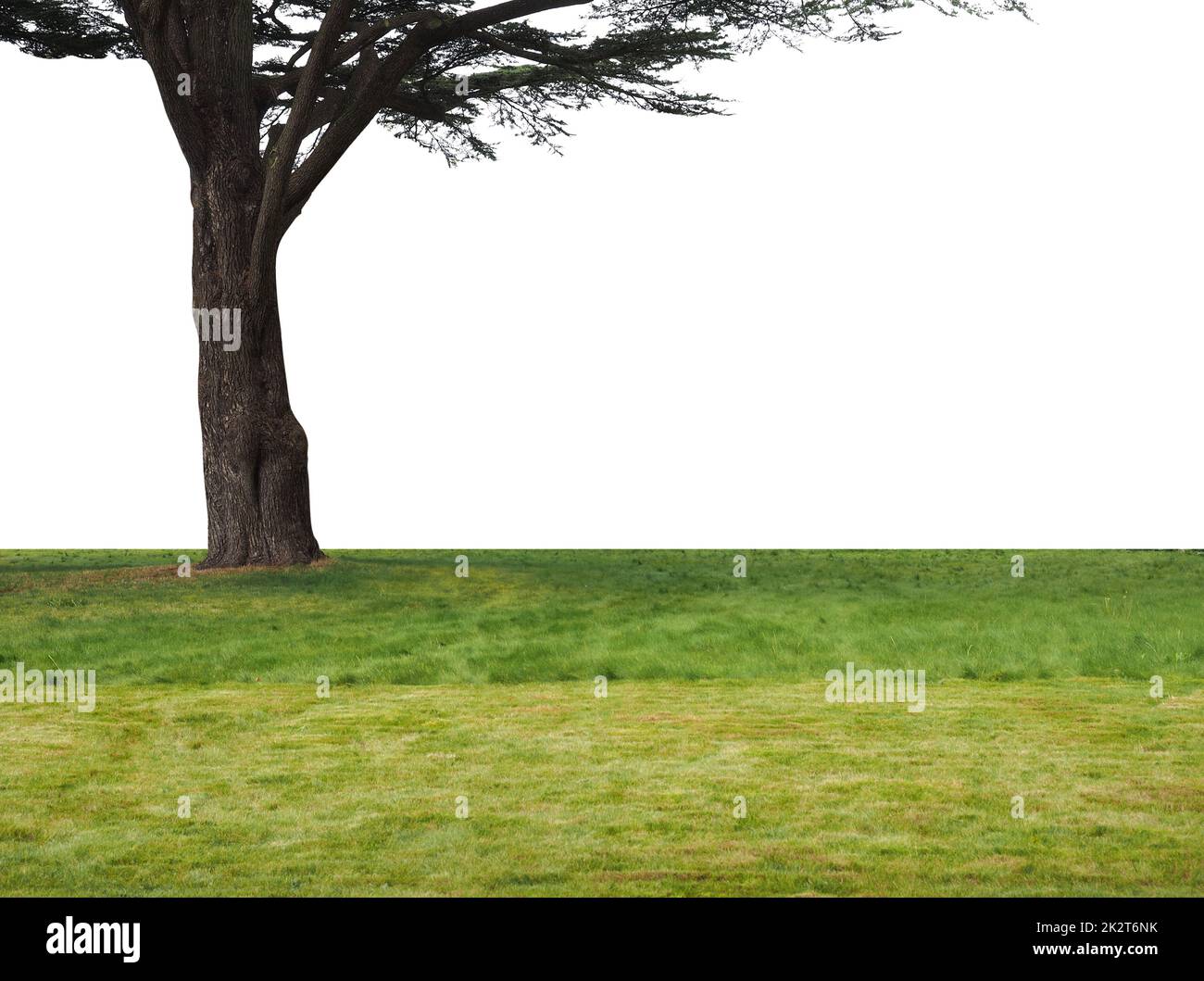 landscape with tree Stock Photo - Alamy