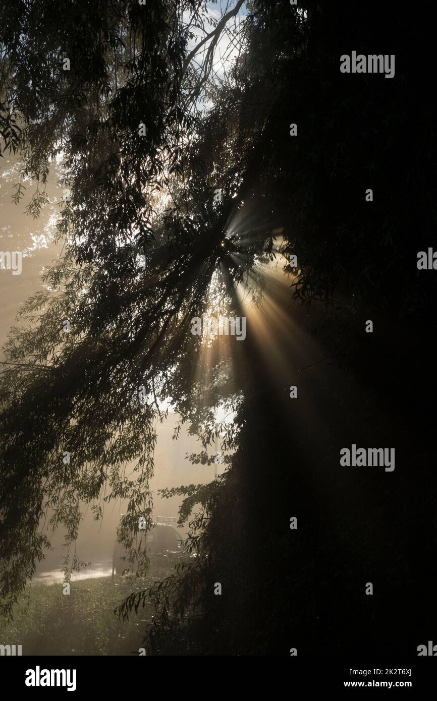 Light and force hi-res stock photography and images - Alamy