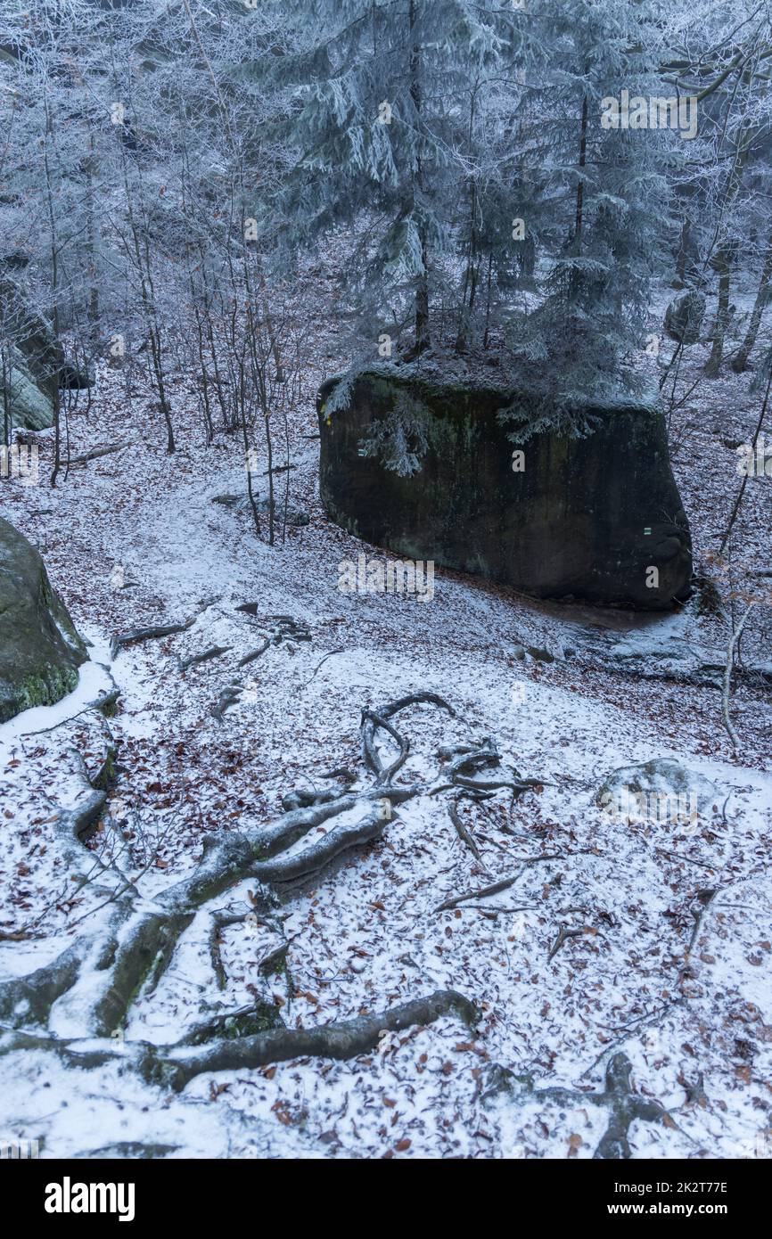 landscape in a nature reserve Broumovske steny, eastern Bohemia, Czech ...