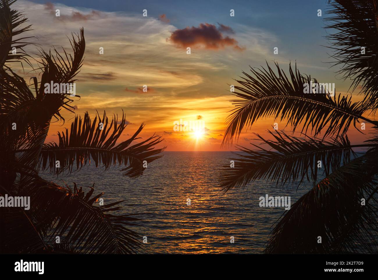 Ocean sunset visible through palm leaves Stock Photo - Alamy