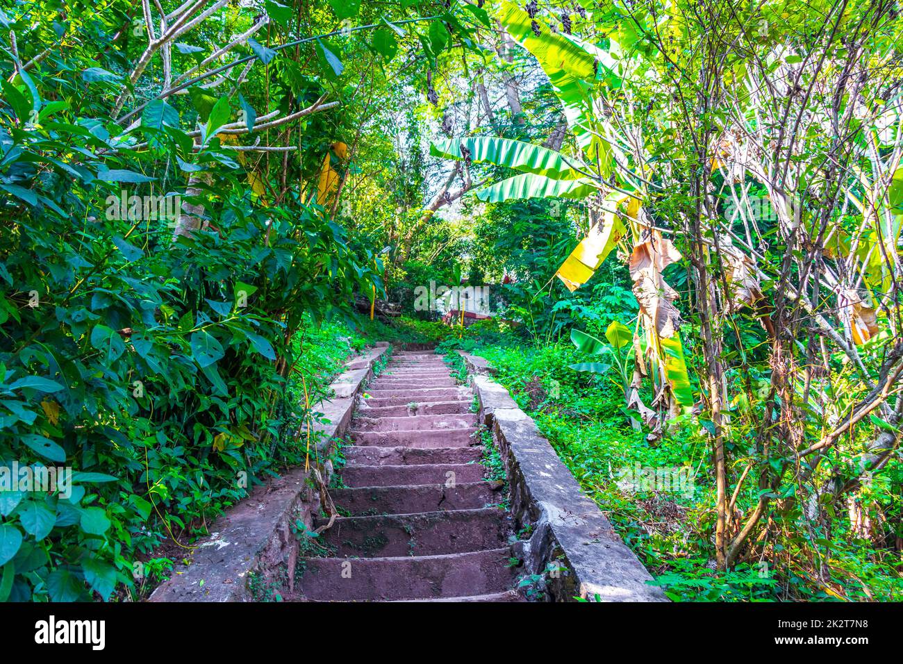 Panorama of the landscape jungle stairs and Luang Prabang Laos Stock ...