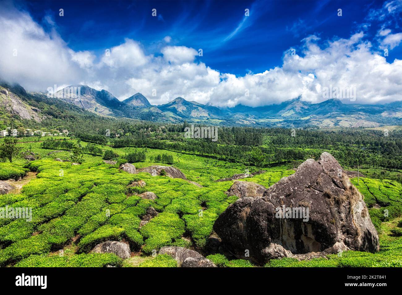 Landscape view tea plantations munnar hi-res stock photography and ...