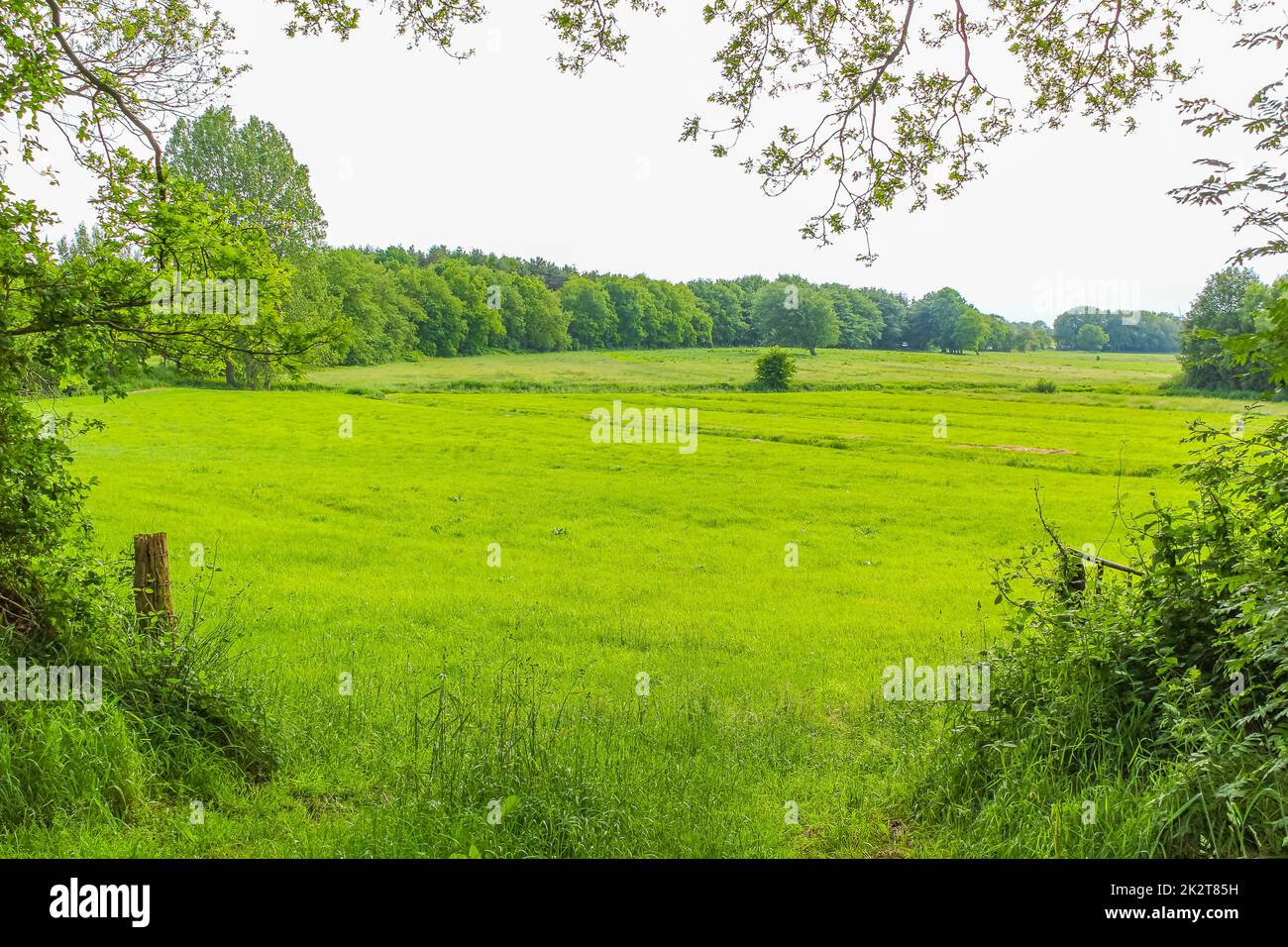 Cloudy sky with beautiful natural forest landscape panorama Germany ...