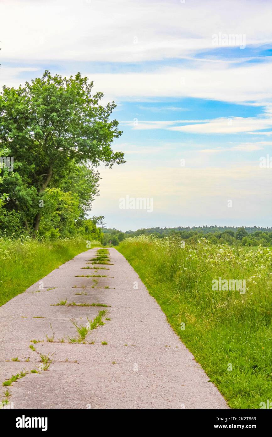 Blue sky with beautiful natural forest landscape panorama Germany Stock ...