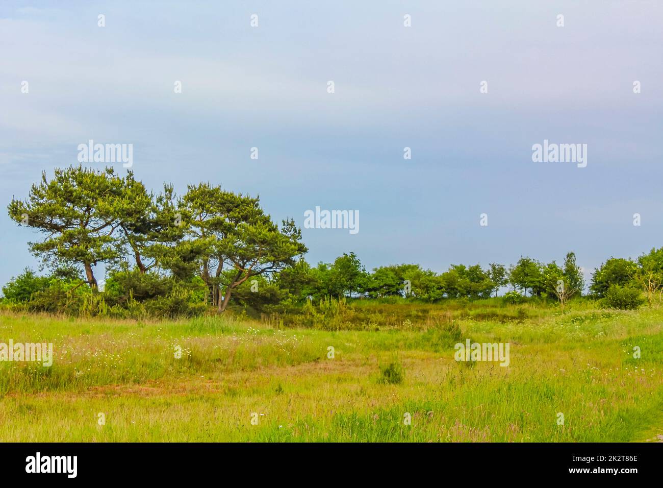 Cloudy sky with beautiful natural forest landscape panorama Germany ...