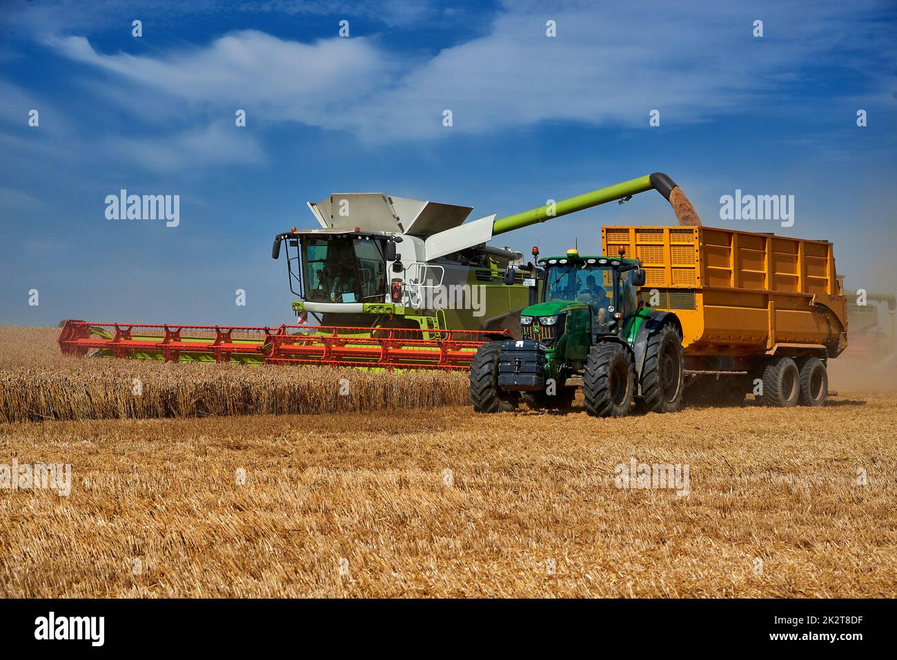 Combine harvester work on golden hi-res stock photography and images ...