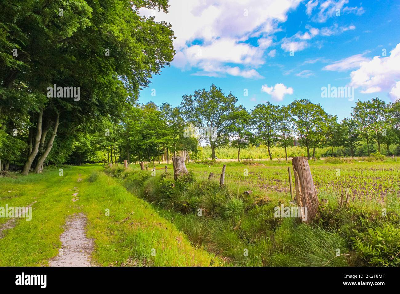 North German agricultural field forest trees nature landscape panorama ...