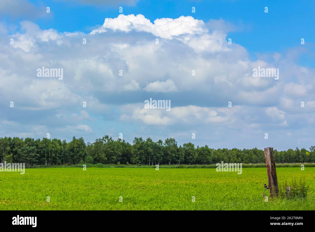 North German agricultural field forest trees nature landscape panorama ...