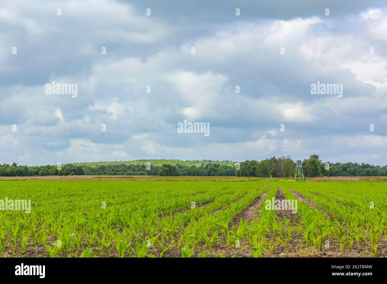North German agricultural field wind turbines nature landscape panorama ...