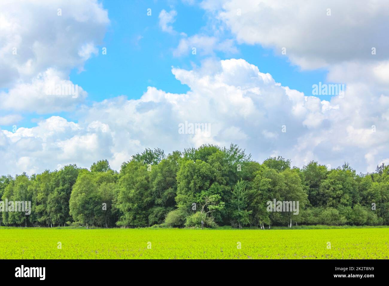 North German agricultural field forest trees nature landscape panorama ...