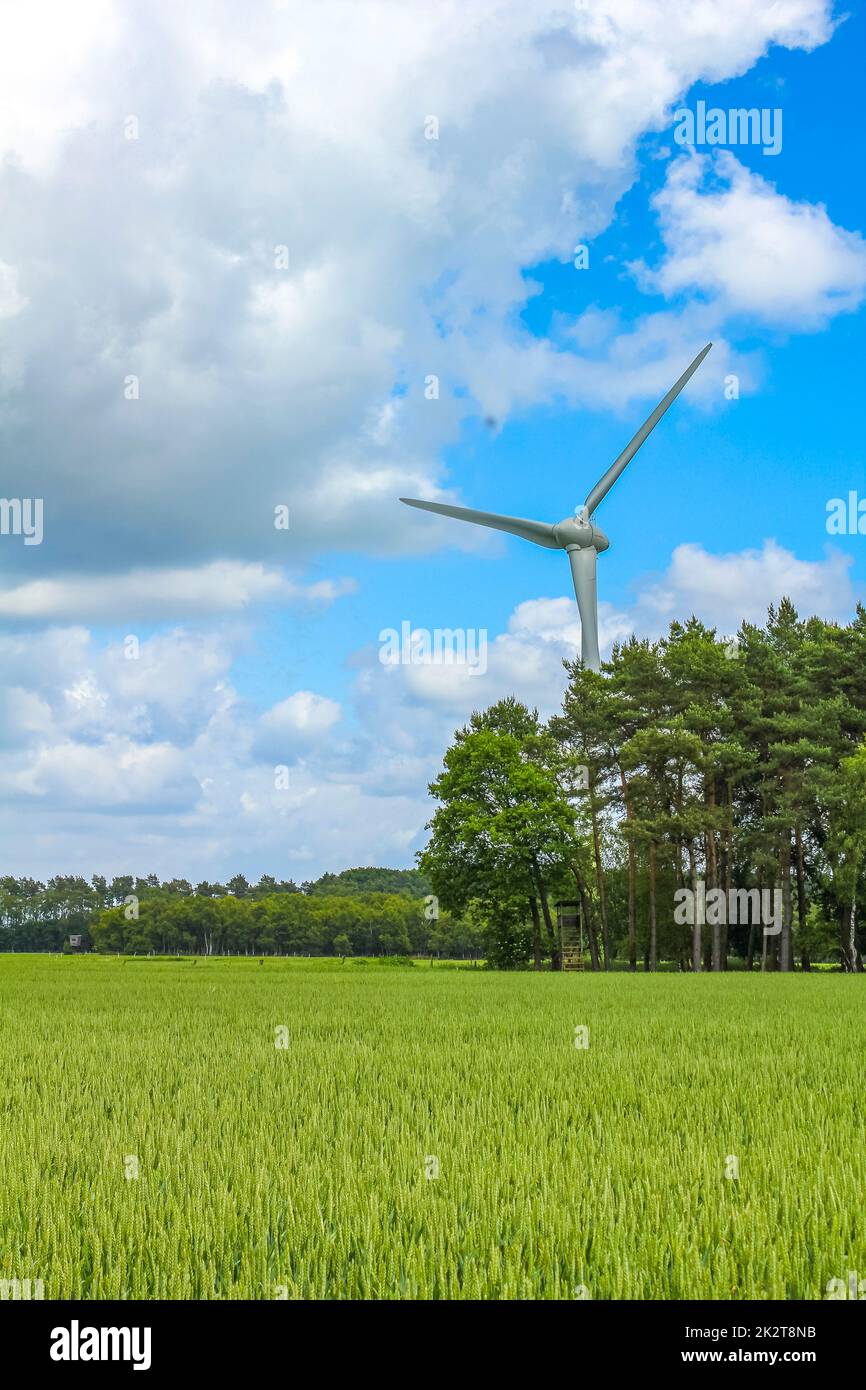 North German agricultural field wind turbines nature landscape panorama ...