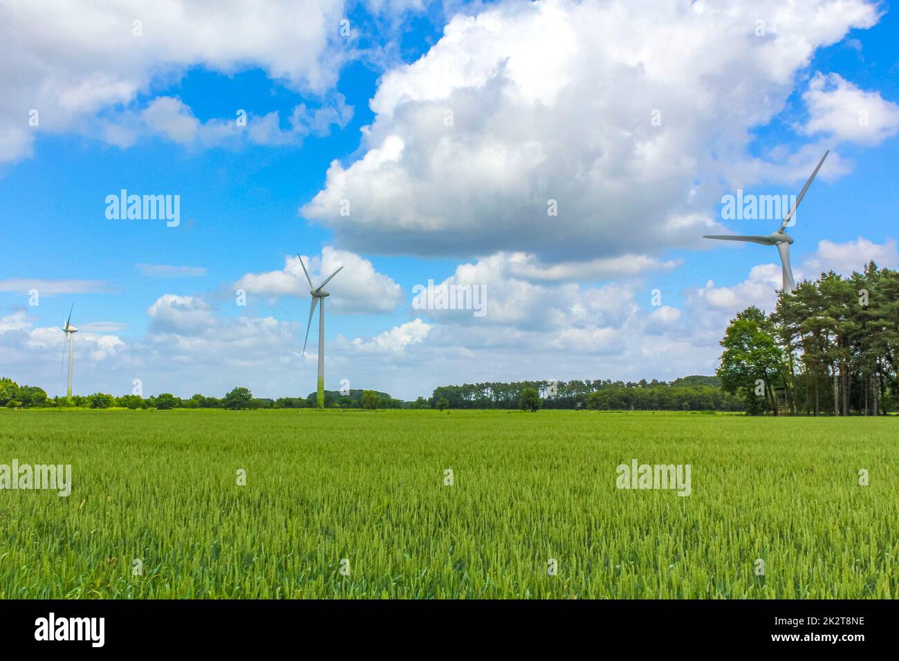 North German agricultural field wind turbines nature landscape panorama ...