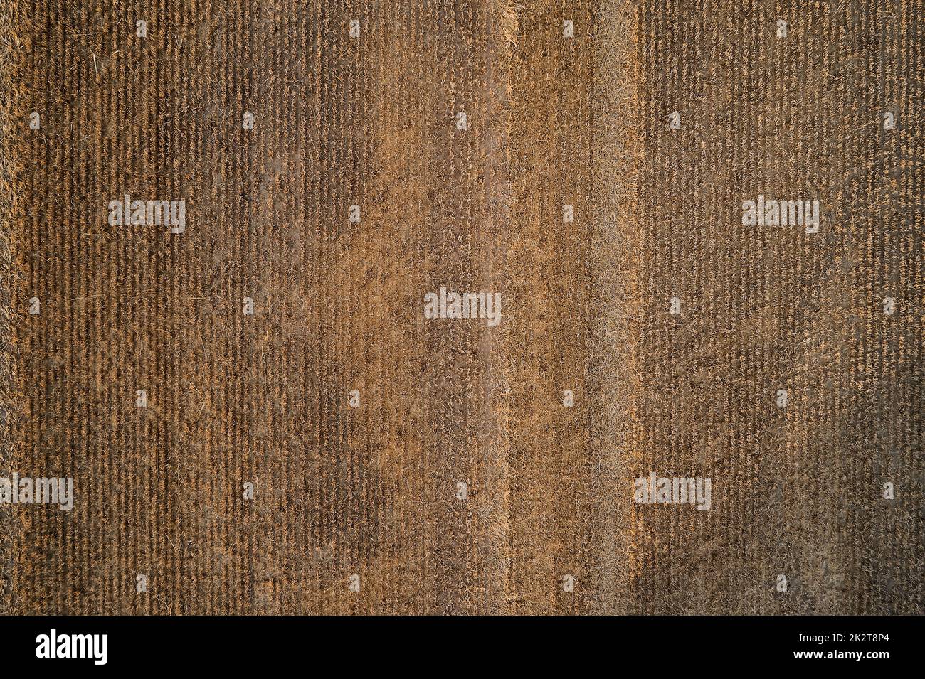 harvest of wheat almost finished Stock Photo - Alamy
