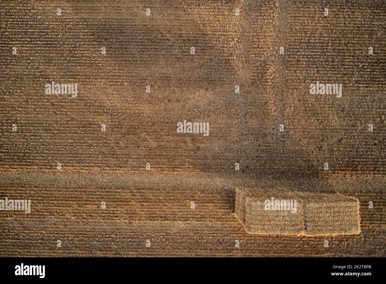 harvest of wheat almost finished Stock Photo - Alamy