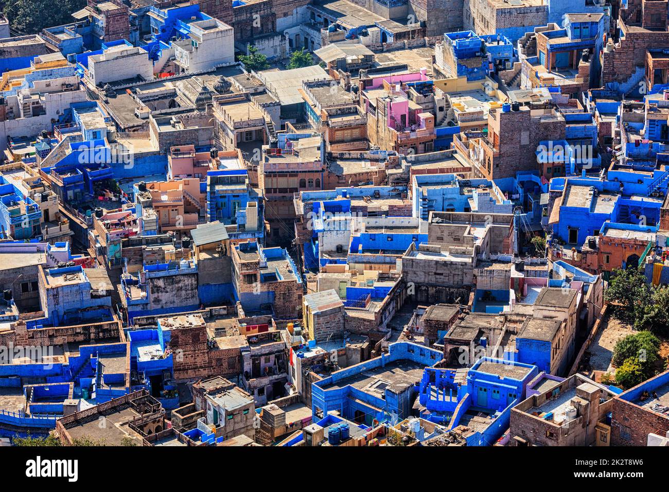 Jodhpur the Blue city, Rajasthan, India Stock Photo - Alamy