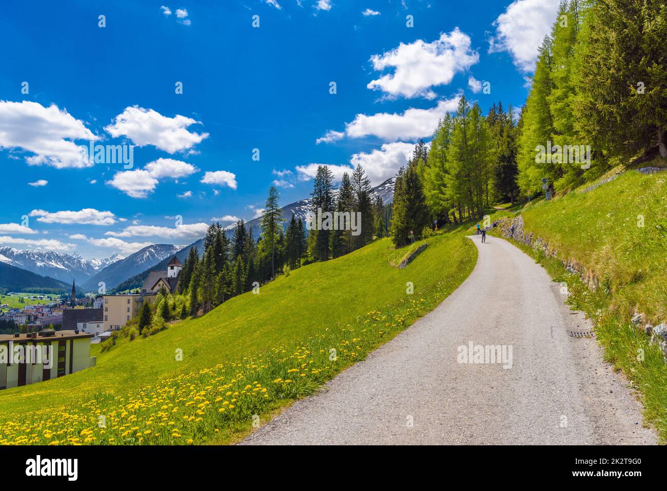Road in green field of Alps mountains, Davos, Graubuenden, Swit Stock ...