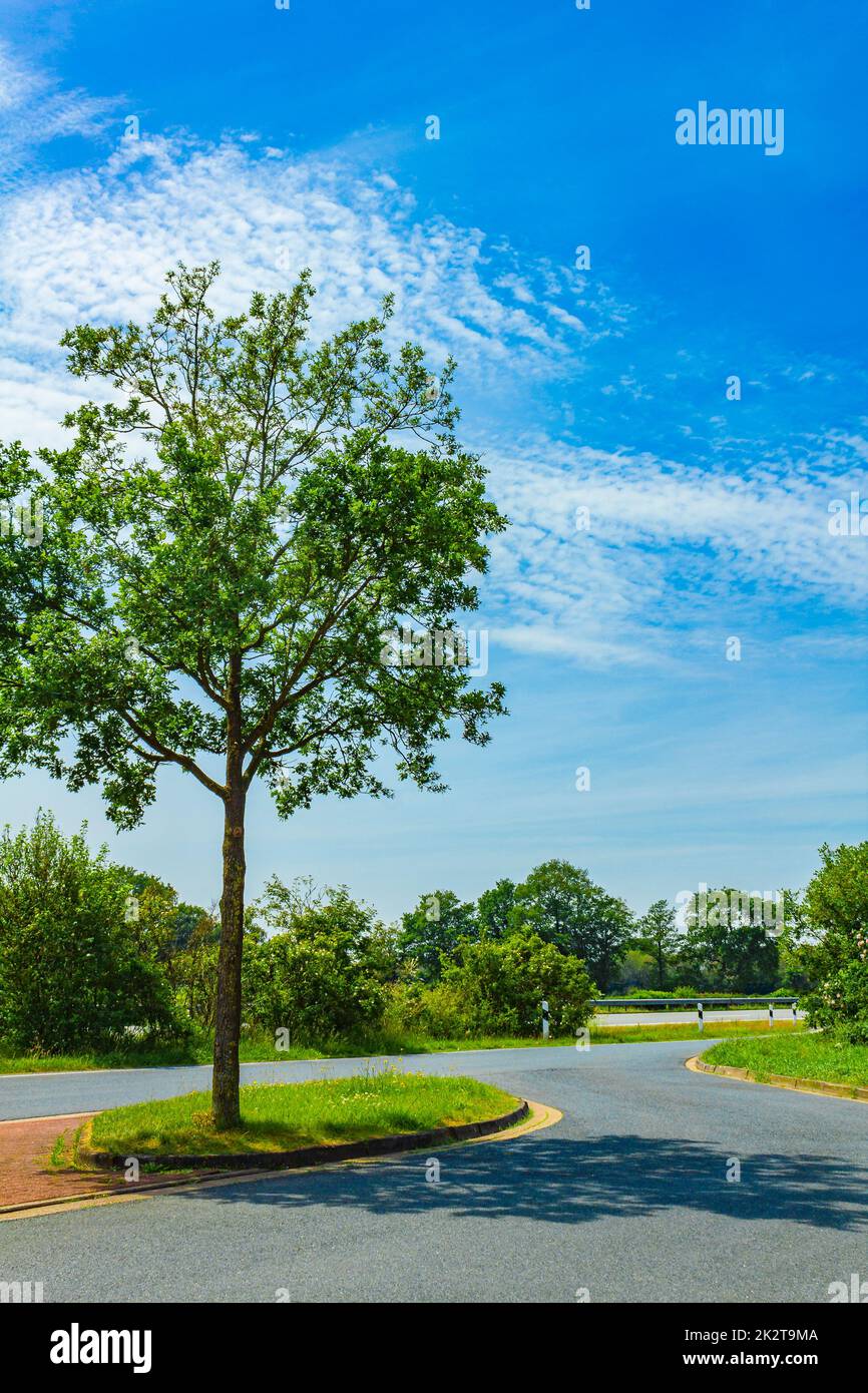 Blue sky with beautiful natural forest tree landscape Germany Stock ...