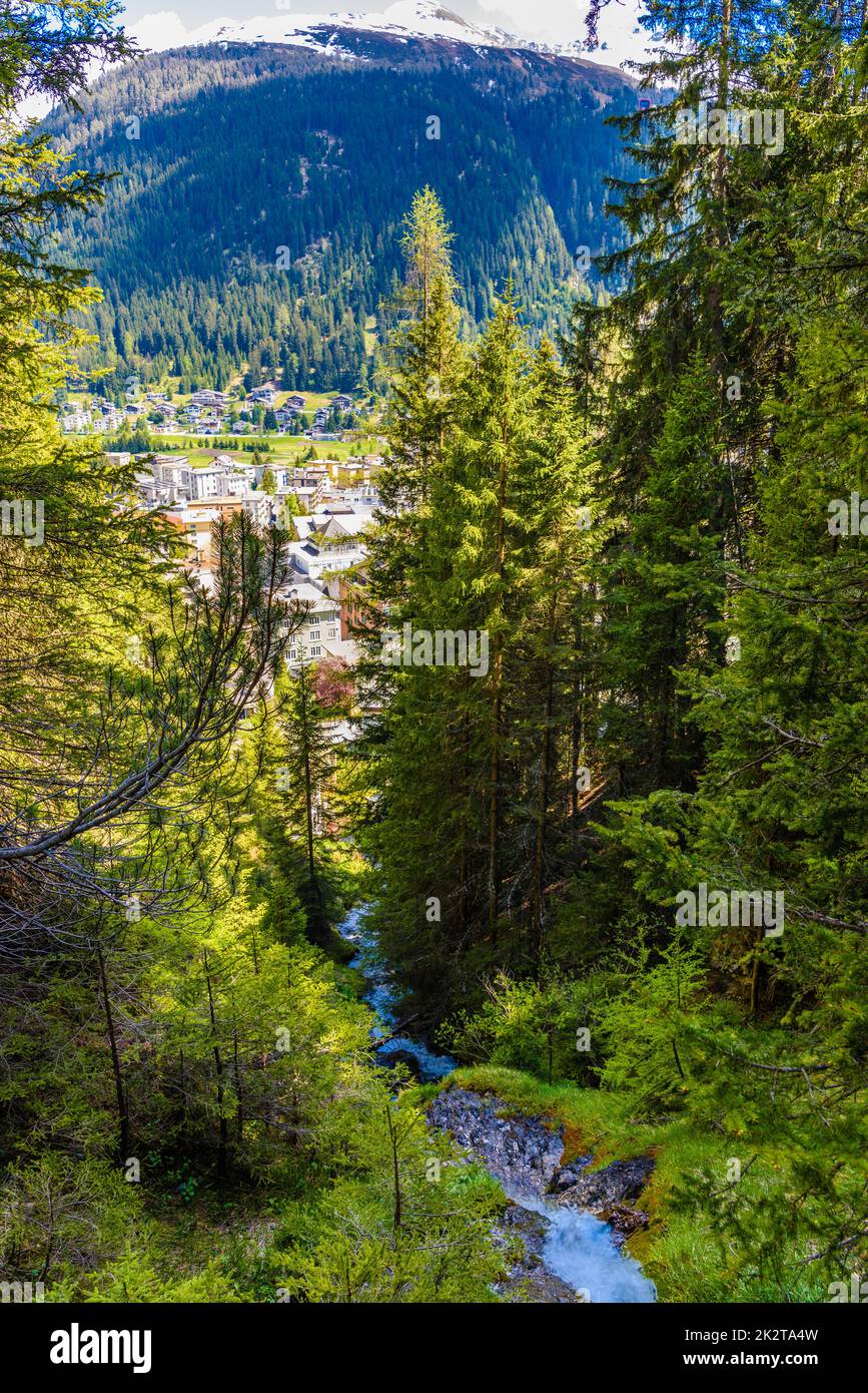 Alps forest hi-res stock photography and images - Alamy