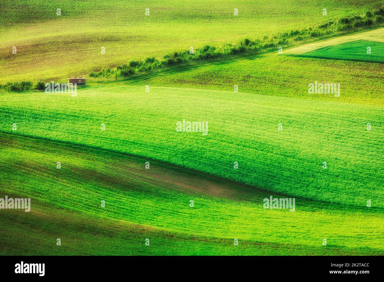 Rolling landscape of South Moravia Stock Photo - Alamy