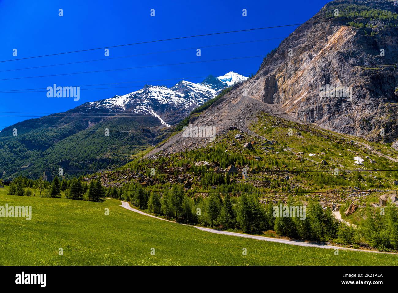 Alps mountains with pine forest, Randa, Visp, Wallis, Valais, Sw Stock ...
