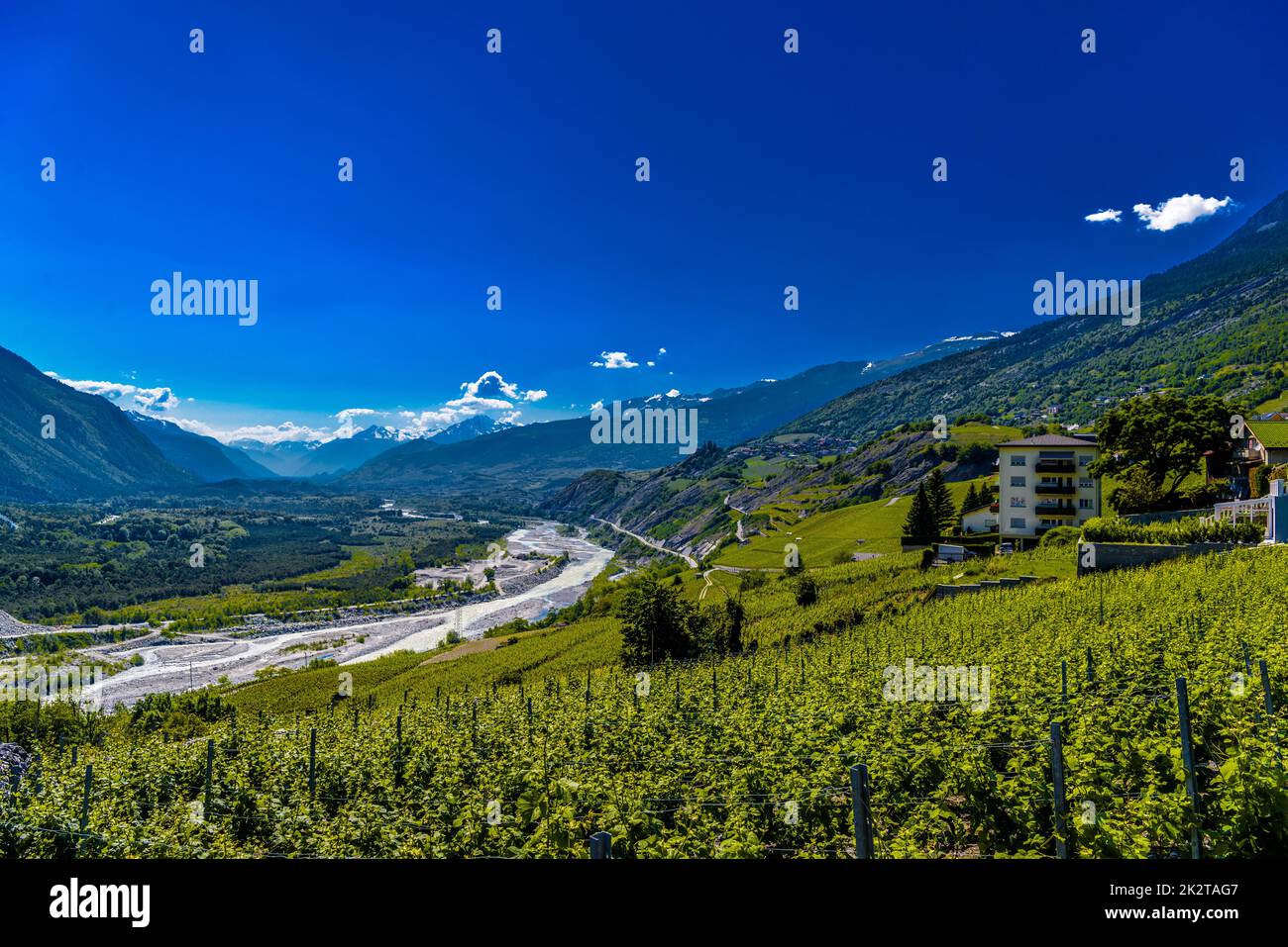 Vineyards and river in Swiss Alps mountains valley, Leuk, Visp Stock ...