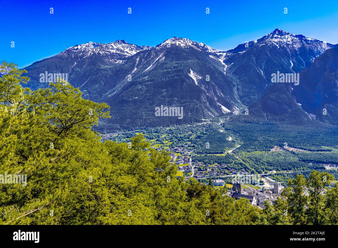 Trees in Swiss Alps mountains, Leuk, Visp, Wallis, Valais, Switz Stock ...
