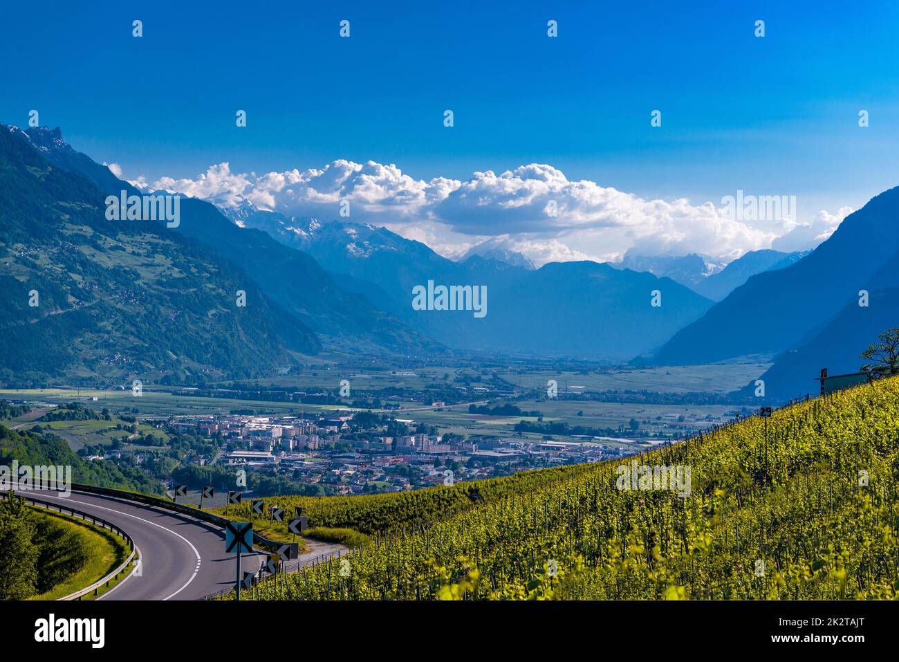 Wineyard in Swiss Alp mountains, Leuk, Visp, Wallis, Valais, Swi Stock ...