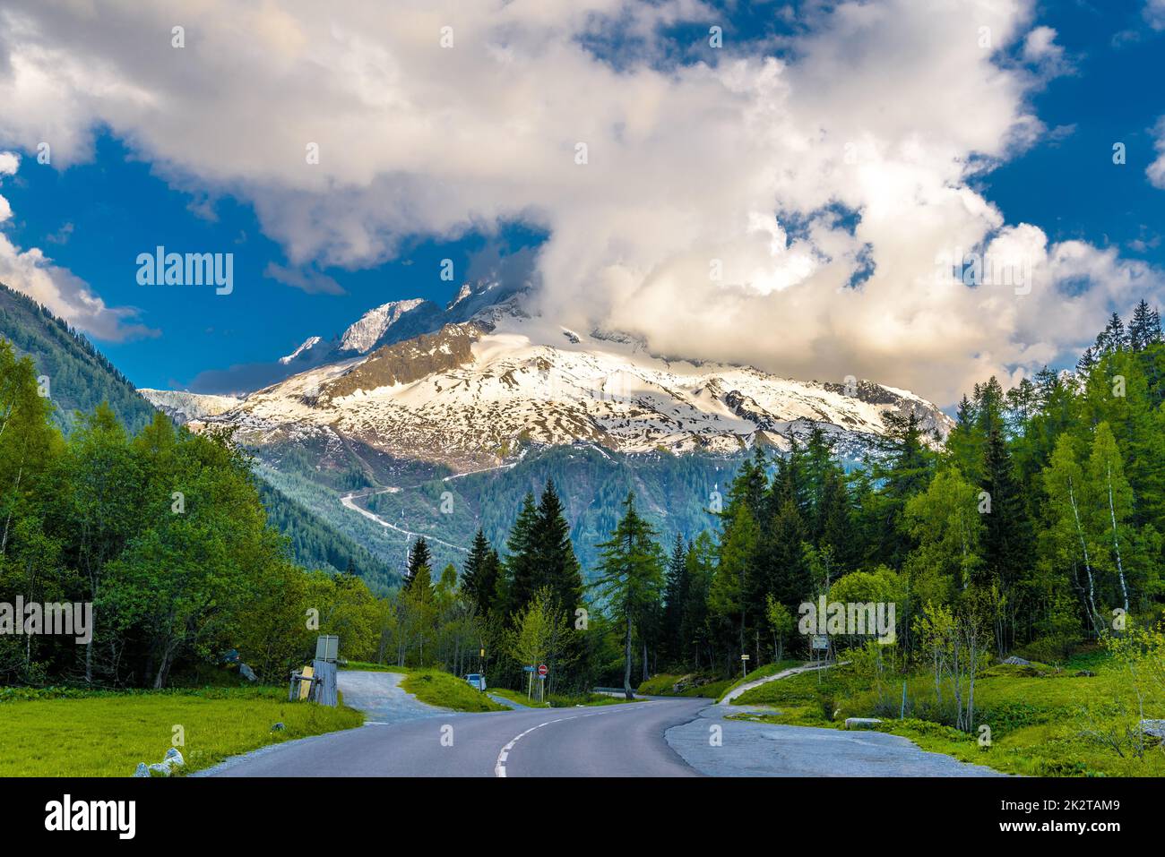 Asphalt road amoung pine forest in mountains, Chamonix Mont Blan Stock ...