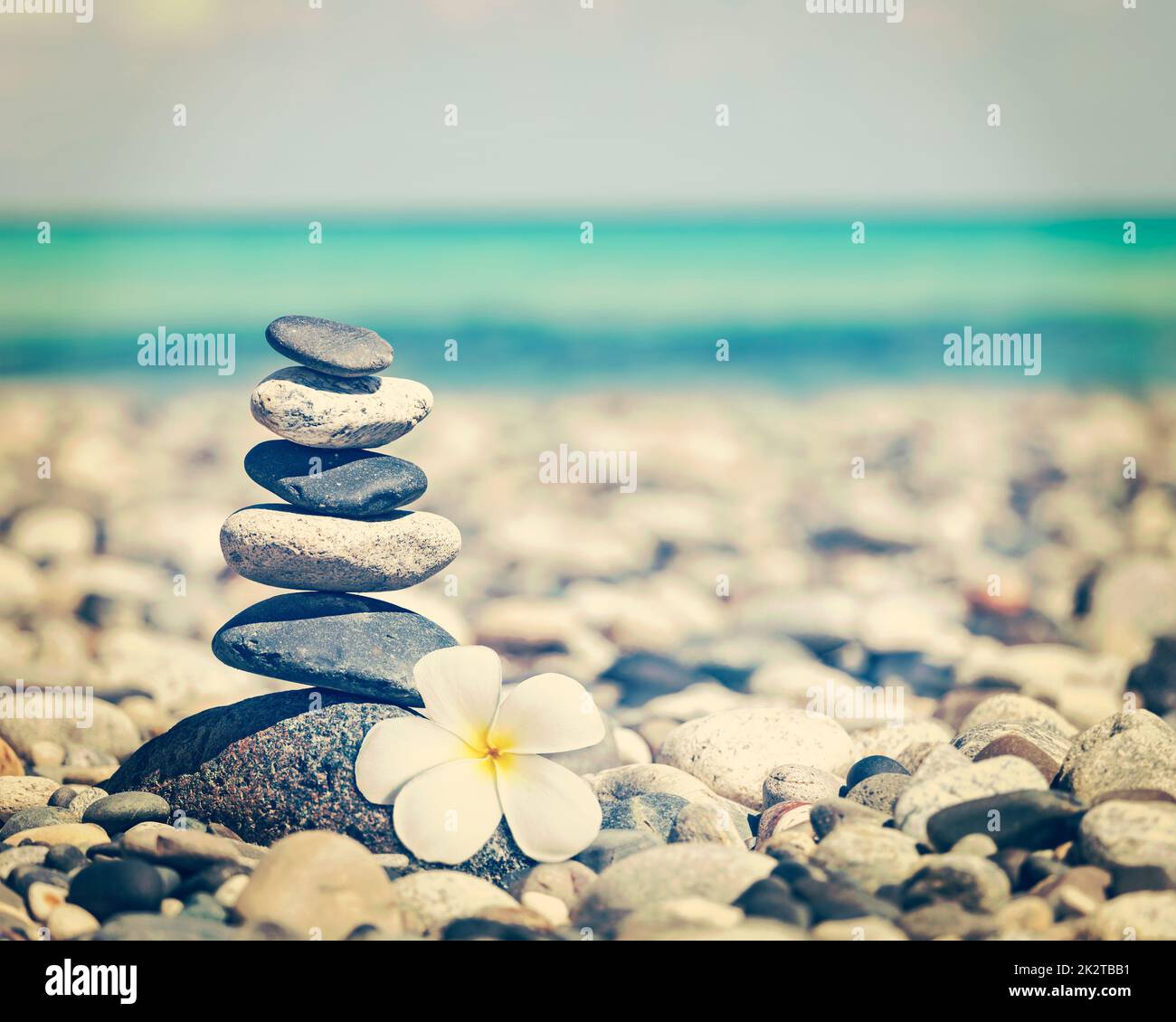 Zen balanced stones stack with plumeria flower Stock Photo - Alamy