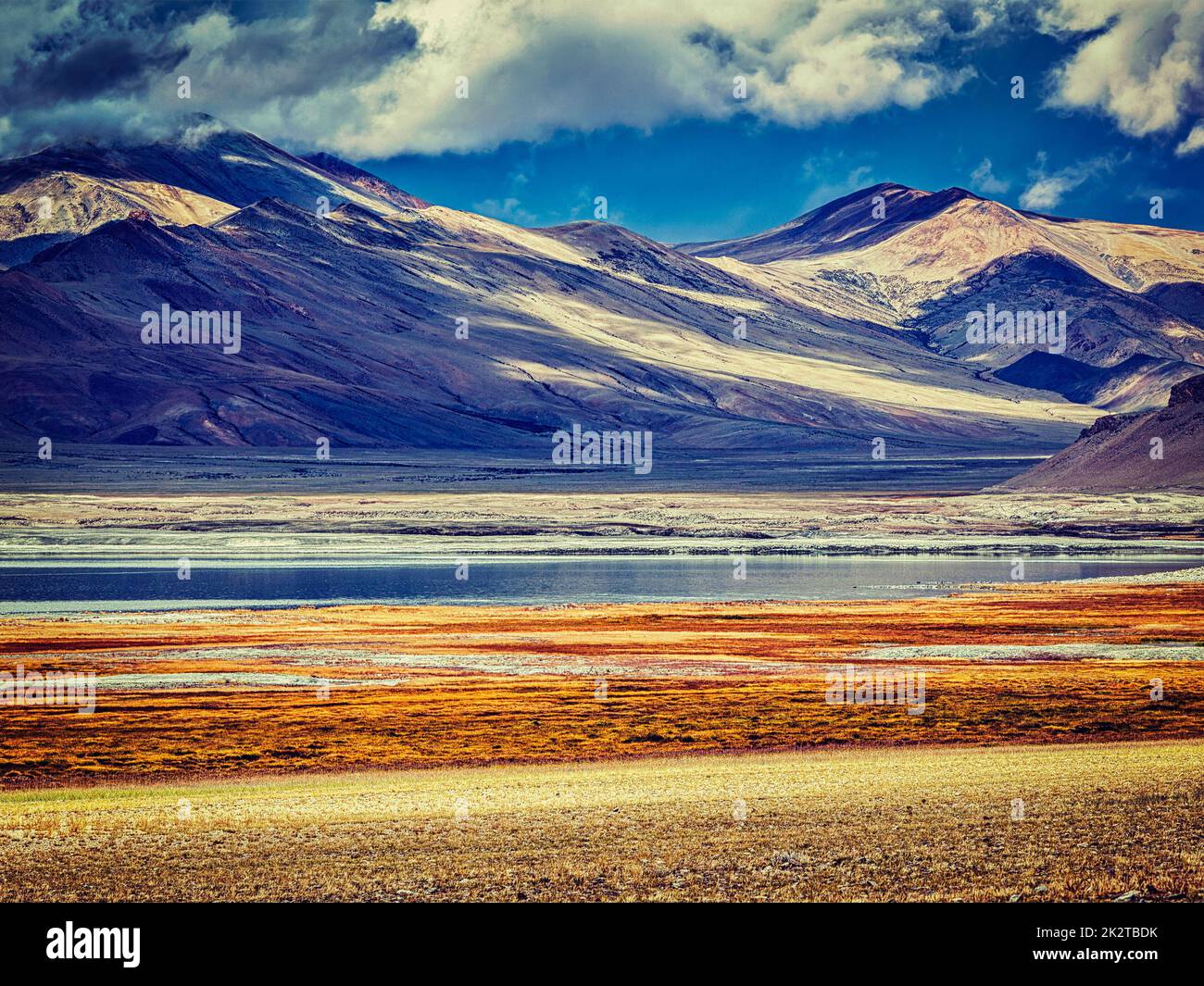 Salt lake Tso Kar in Himalayas. Ladakh, India Stock Photo - Alamy