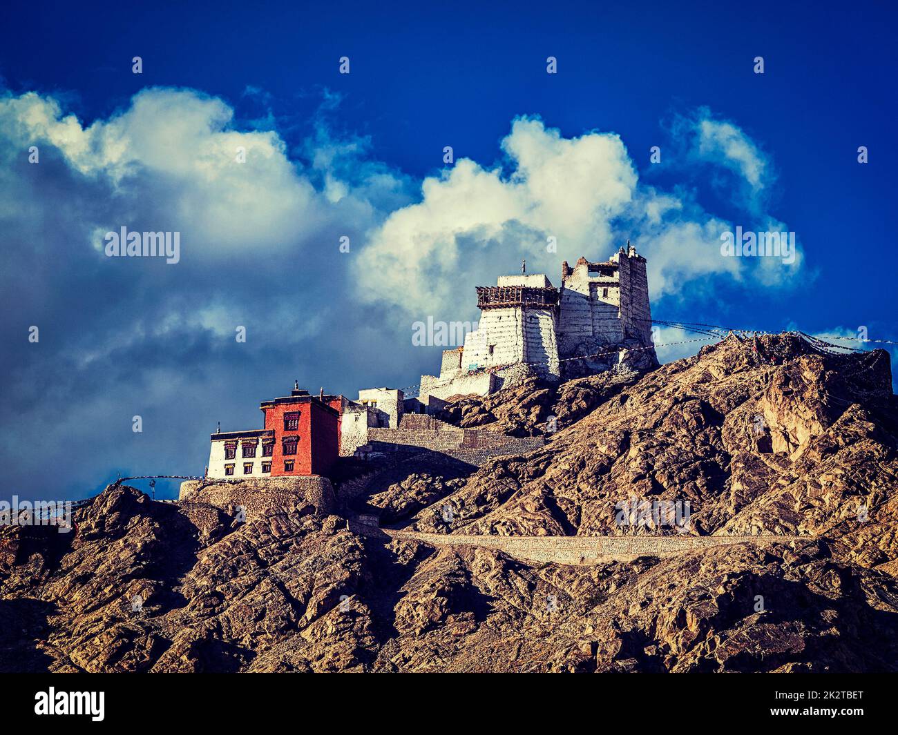 Namgyal Tsem gompa and fort. Leh, Ladakh Stock Photo - Alamy